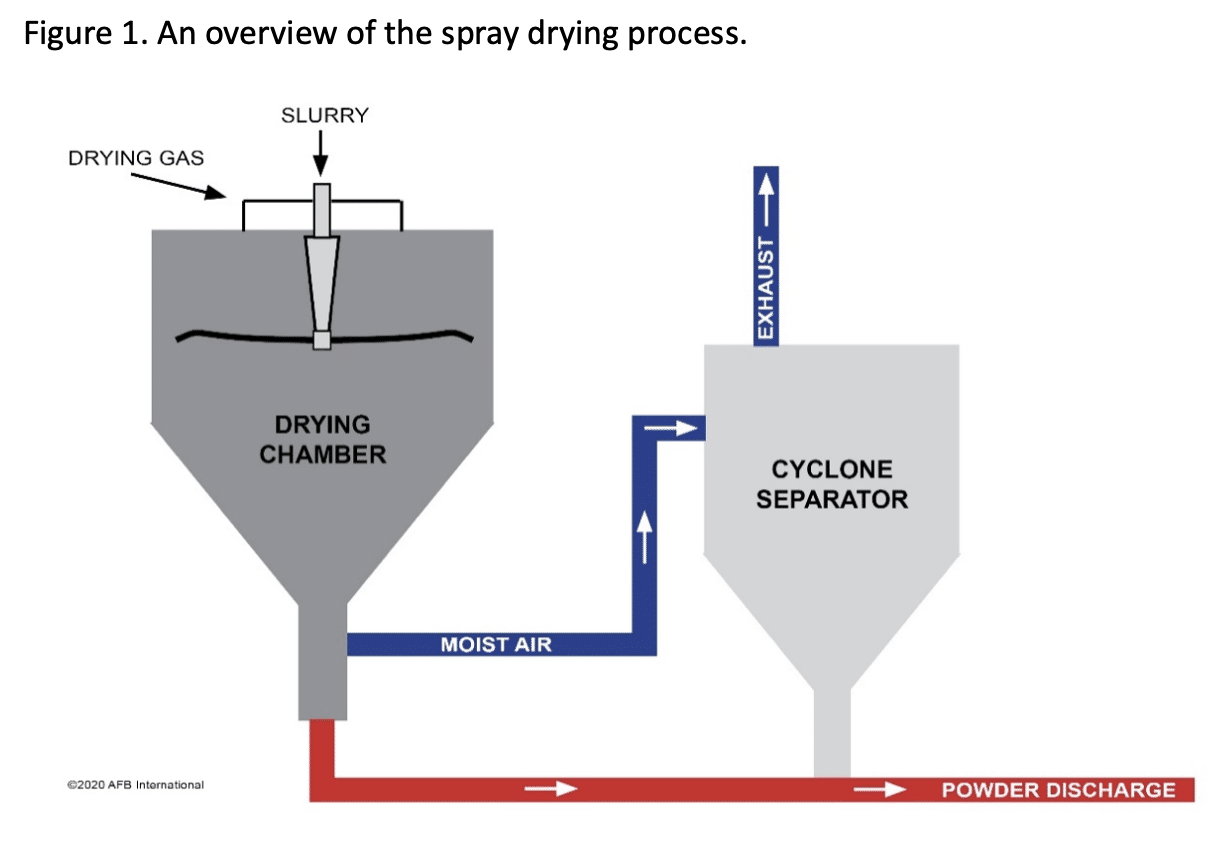 Approach to customizing – spray drying - AFB International