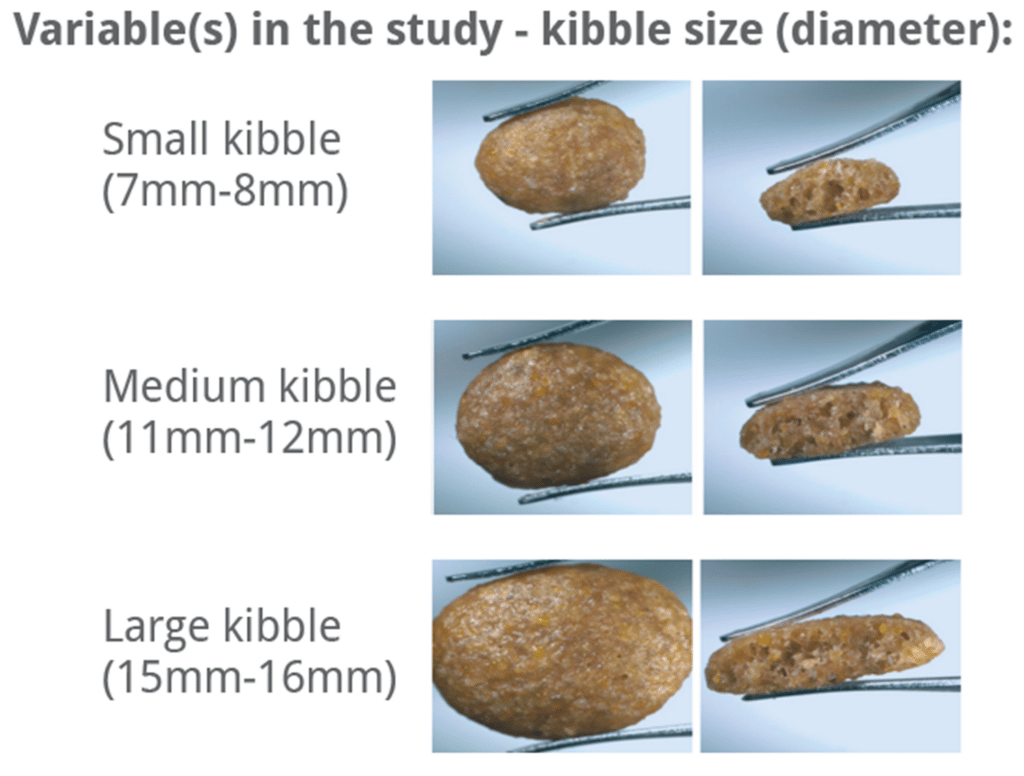 Kibble Size (Diameter) and its Impact on Feline Palatability - AFB ...